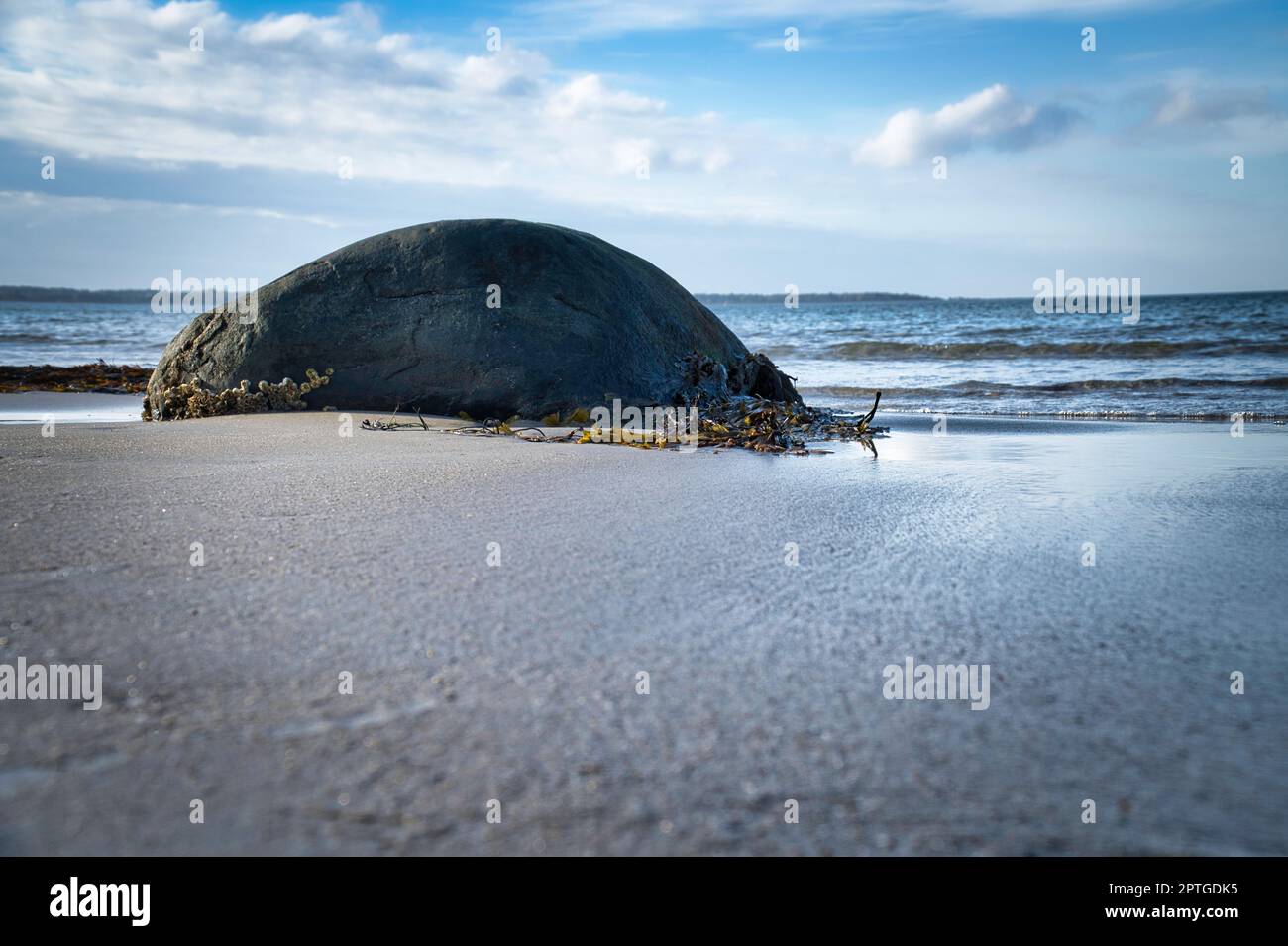Big stone on the sandy beach in front of the sea with clouds in the sky ...