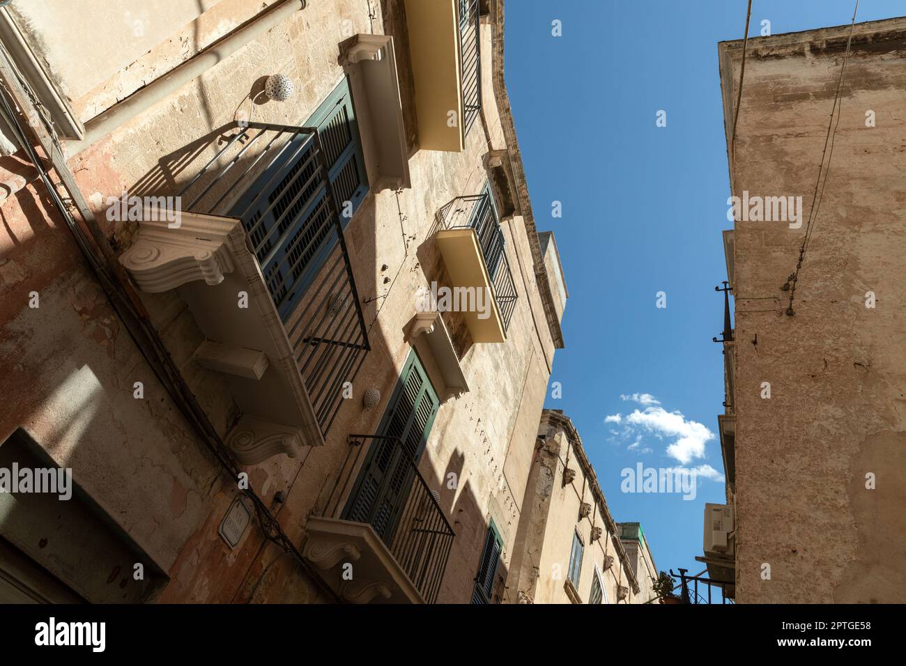 Tarento hi-res stock photography and images - Alamy
