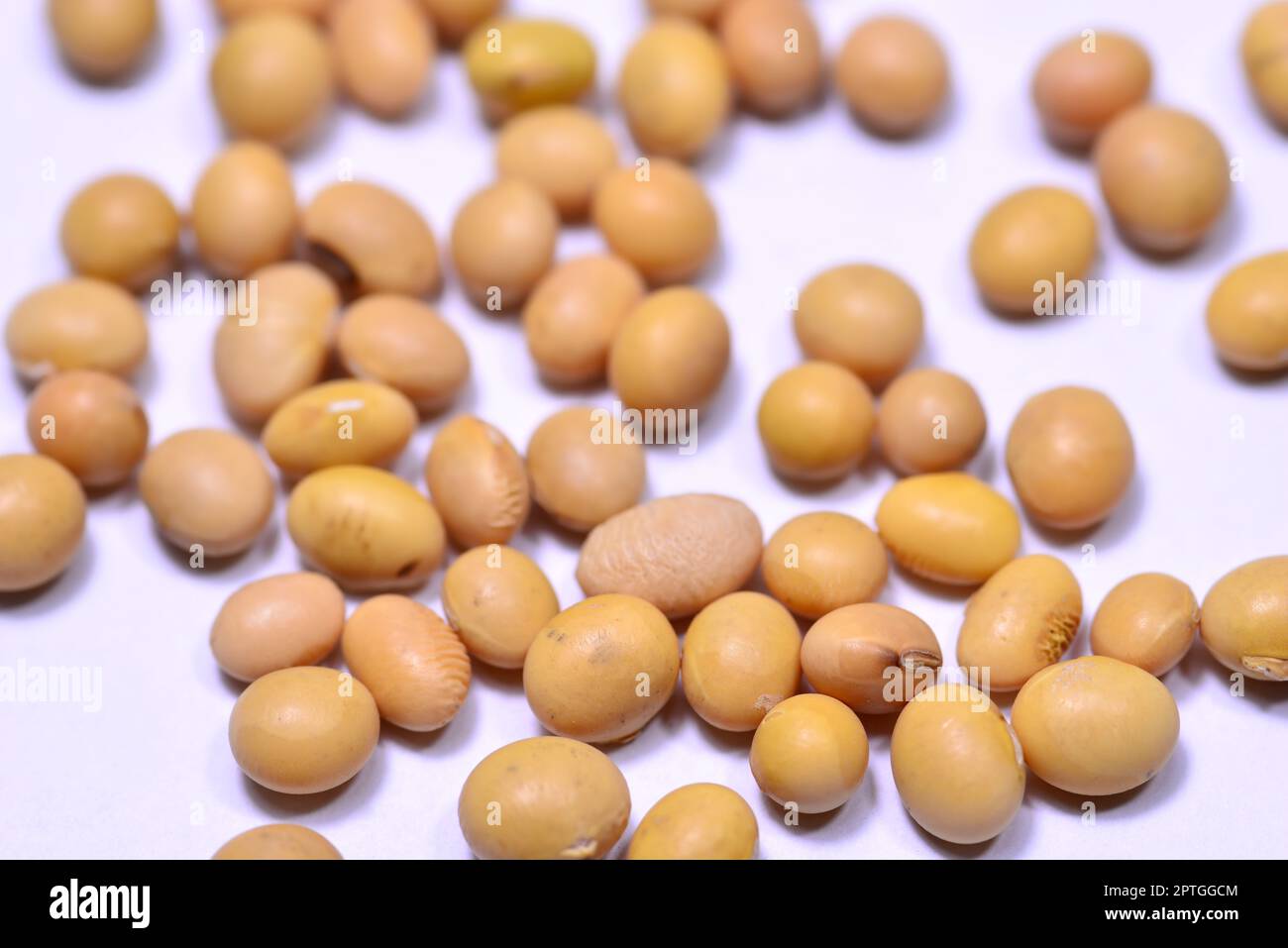 Chinese yellow soybeans in a closeup Stock Photo - Alamy