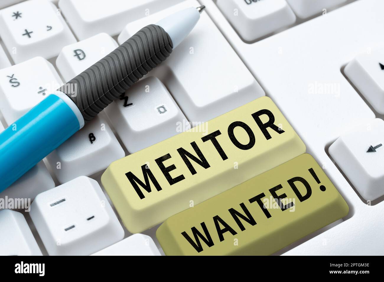 Text showing inspiration Mentor Wanted, Business concept finding ...