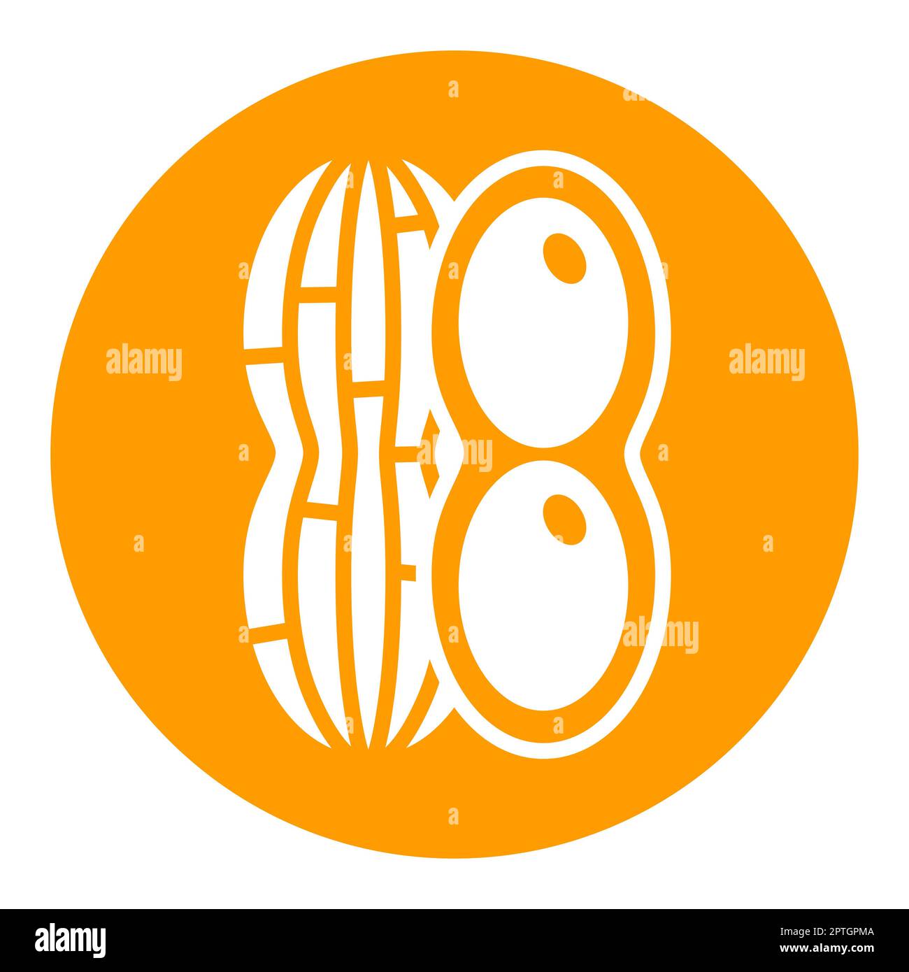 Peanut isolated design vector glyph icon. Vegetable sign. Graph symbol ...