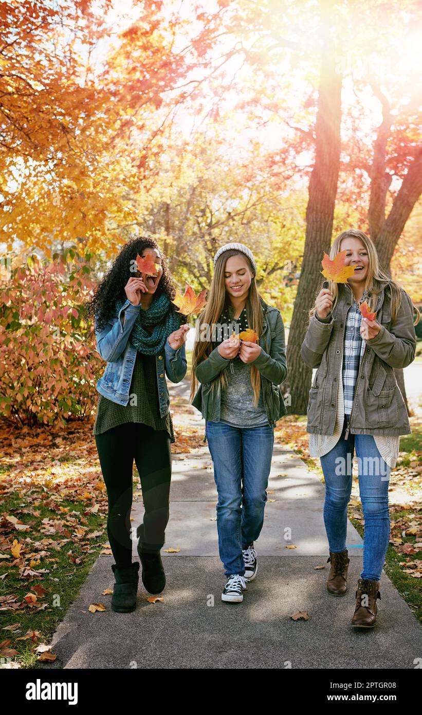 Theres so much to love about autumn. a group of teenage friends ...