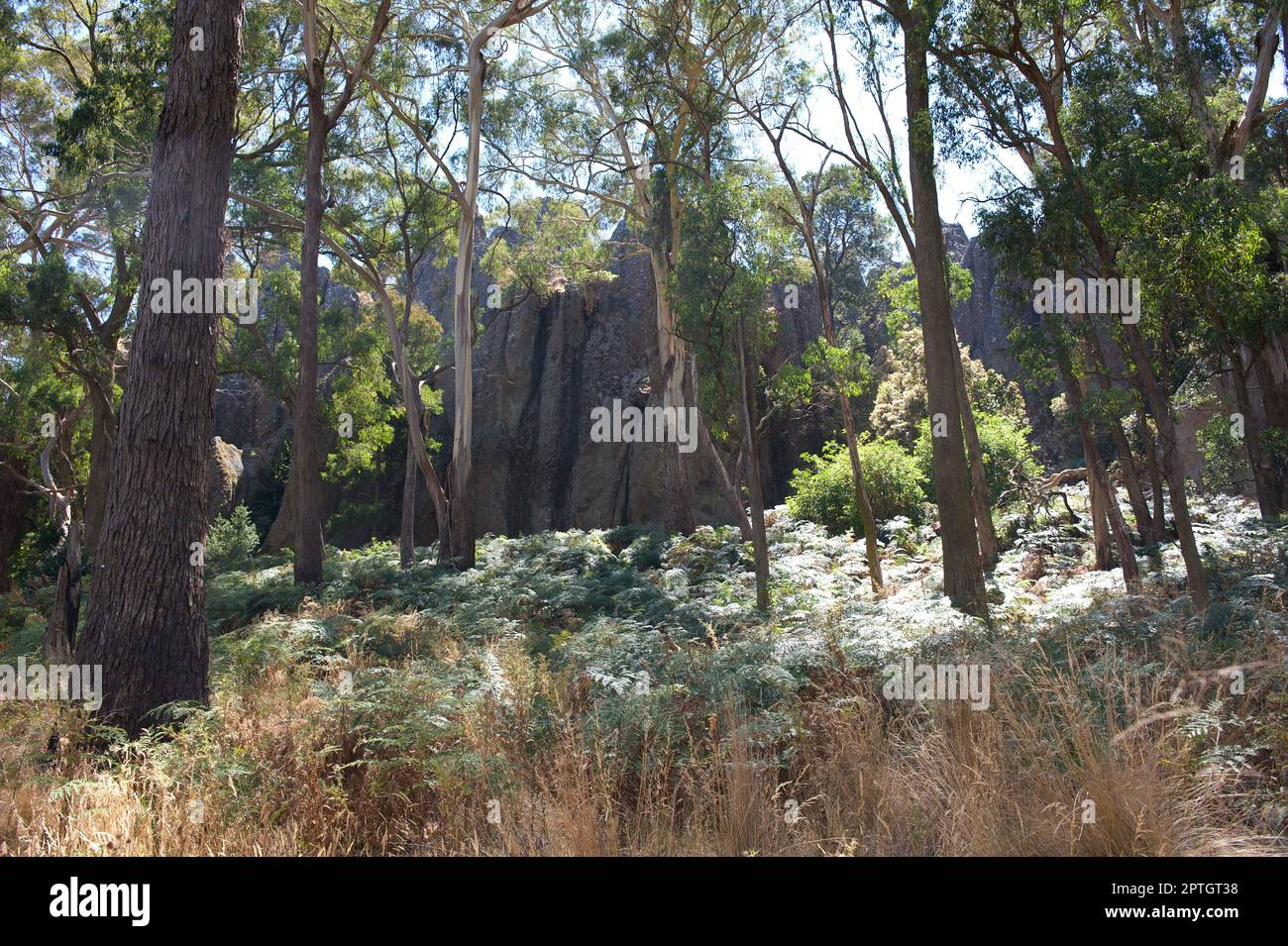 This is a common sight on Hanging Rock - a large lump of solidified ...