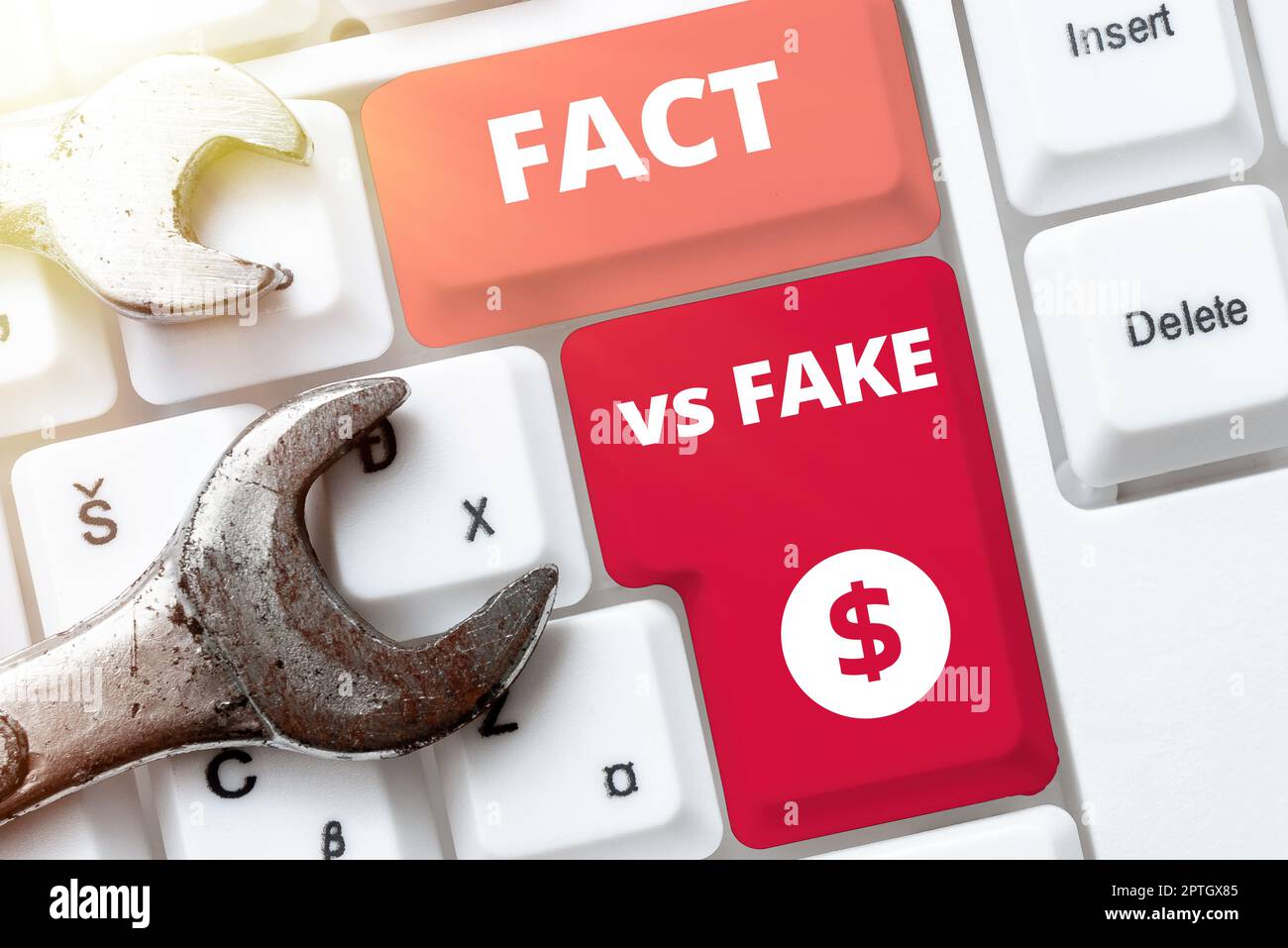 Inspiration showing sign Fact Vs Fake, Business approach Rivalry or ...