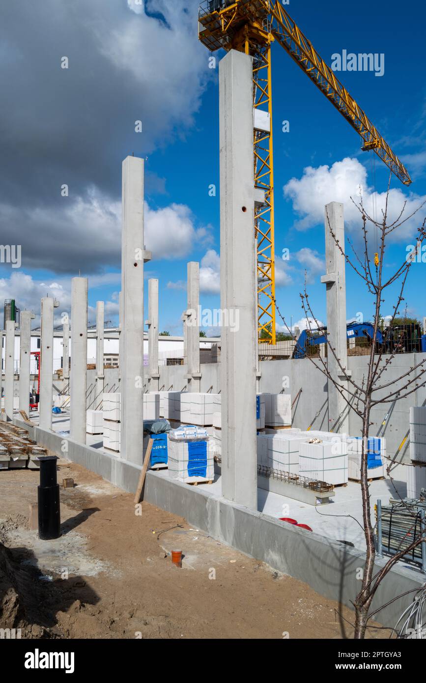 Erected Pillars In The Bible at Darnell Johnson blog