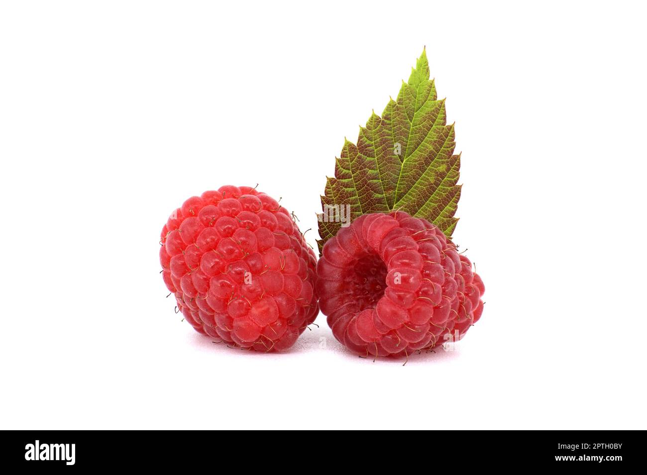 Red ripe raspberry berries with green leaves. Side view, isolated on ...