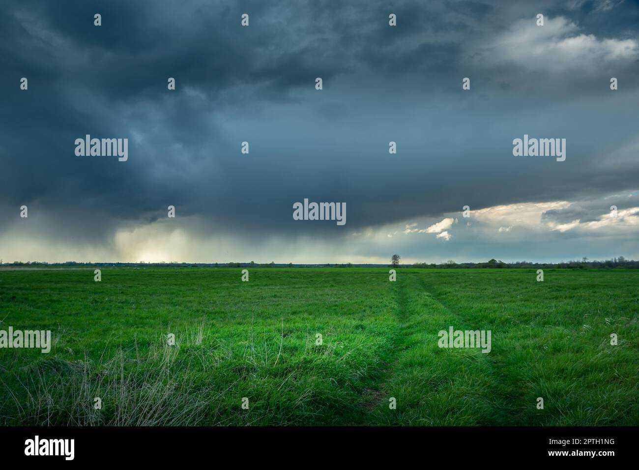 The road through the meadow and the rainy dark cloud, spring day Stock ...