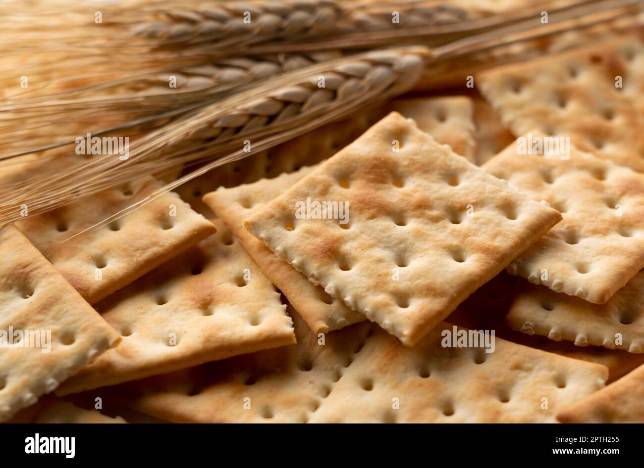 Crackers and ears of wheat placed across the screen. Close-up Stock ...