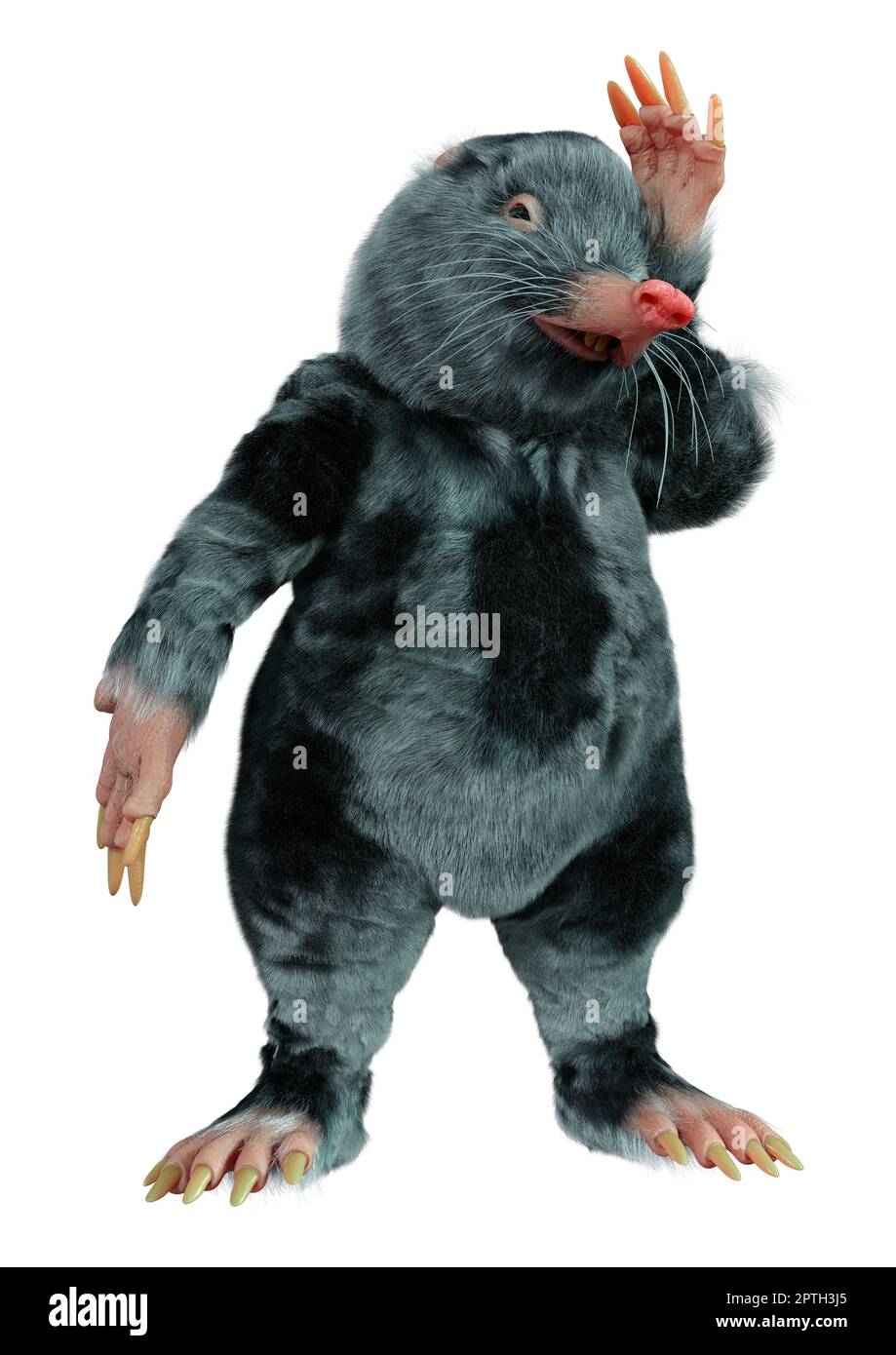 3D rendering of a mole animal isolated on white background Stock Photo ...