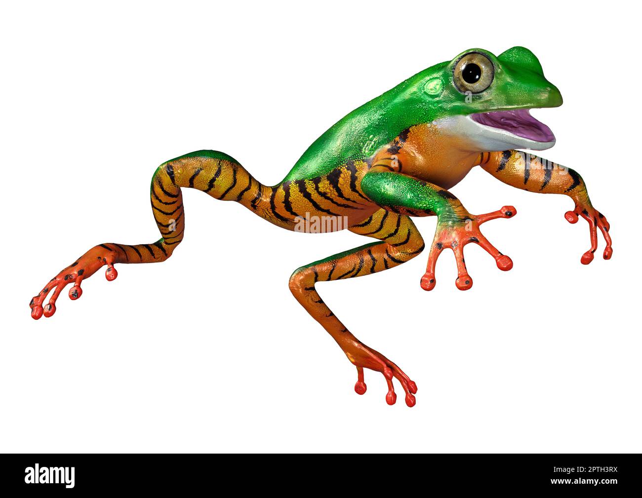 3D rendering of an Amazon tree frog isolated on white background Stock ...