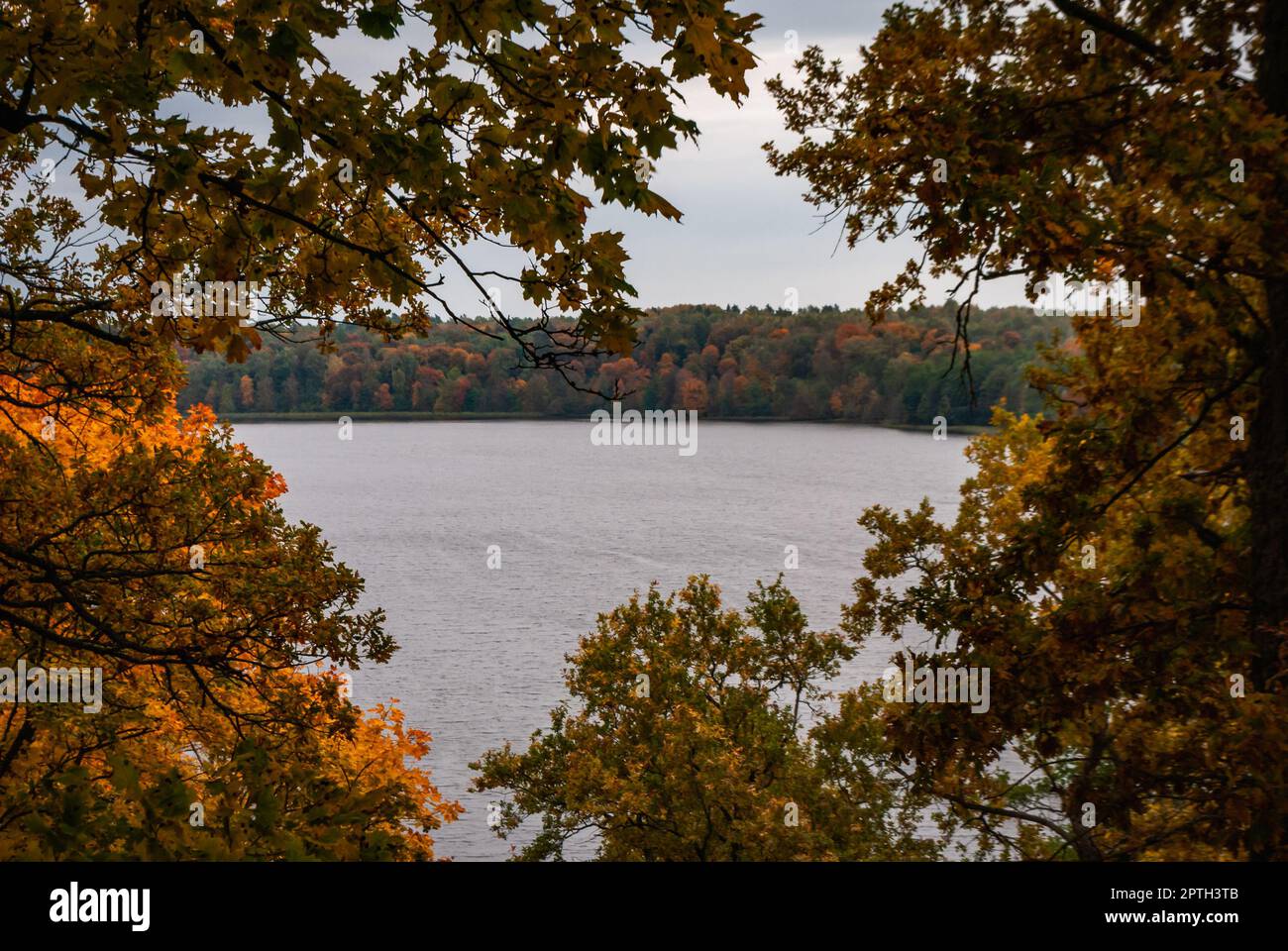 View of the longest lake in Lithuania Asveja or Lake Dubingiai through ...