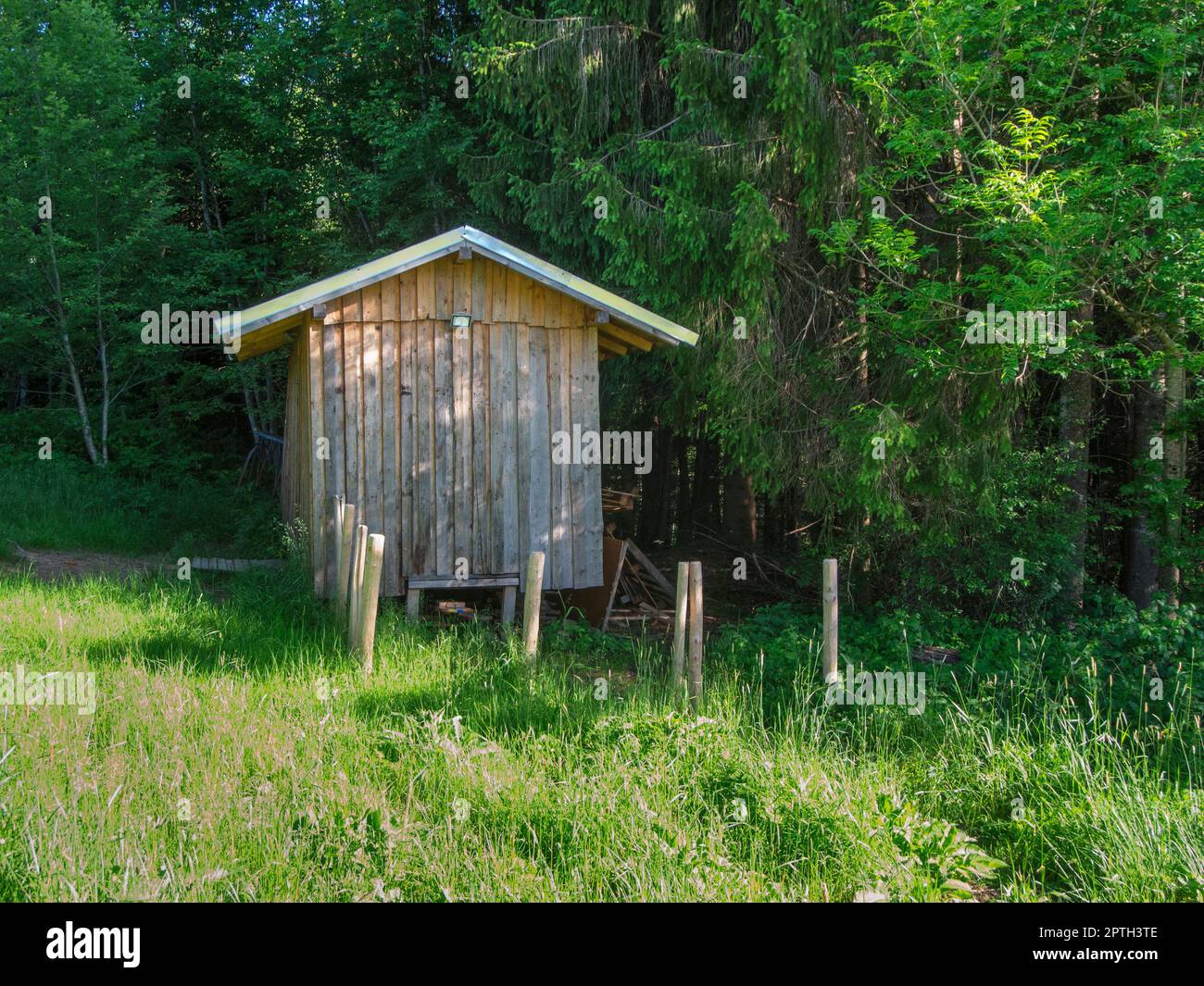 View of a single forest worker's wooden hut in the forest with a meadow ...