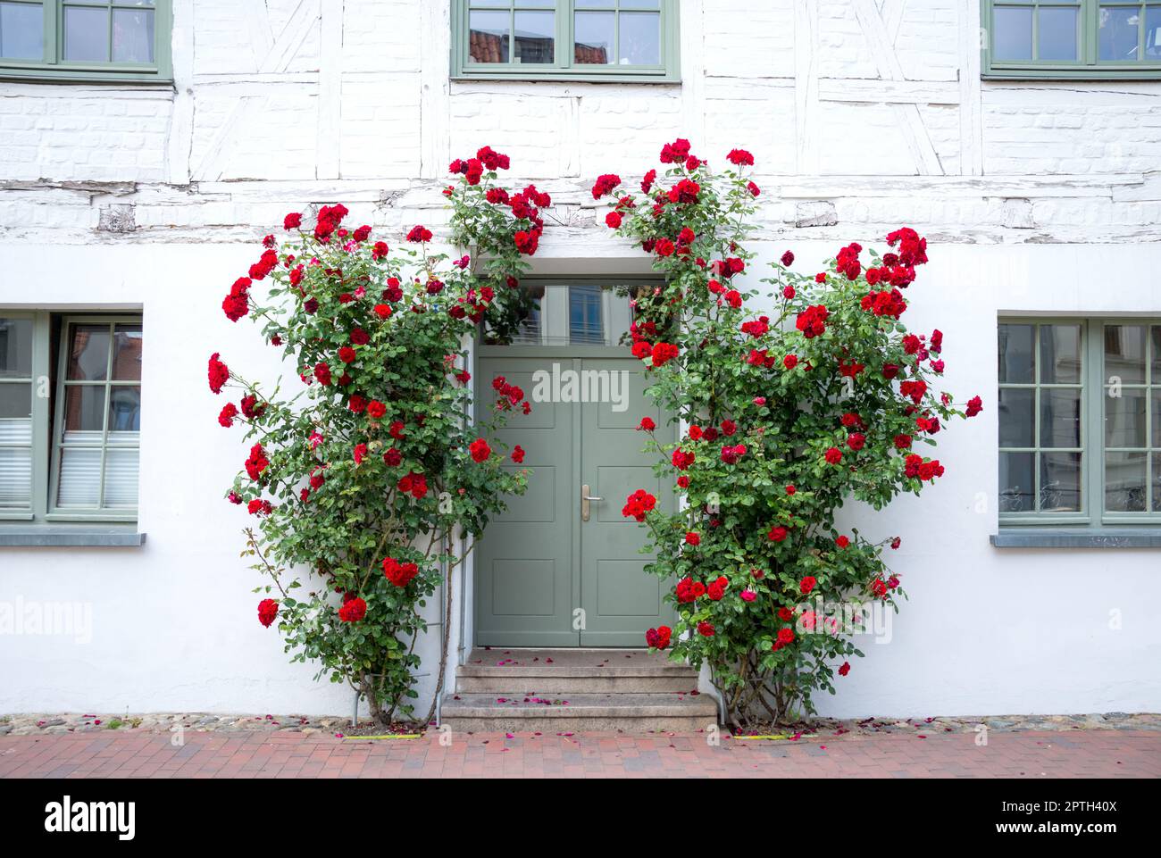 House home outside exterior front entrance roses flowers hi-res stock ...
