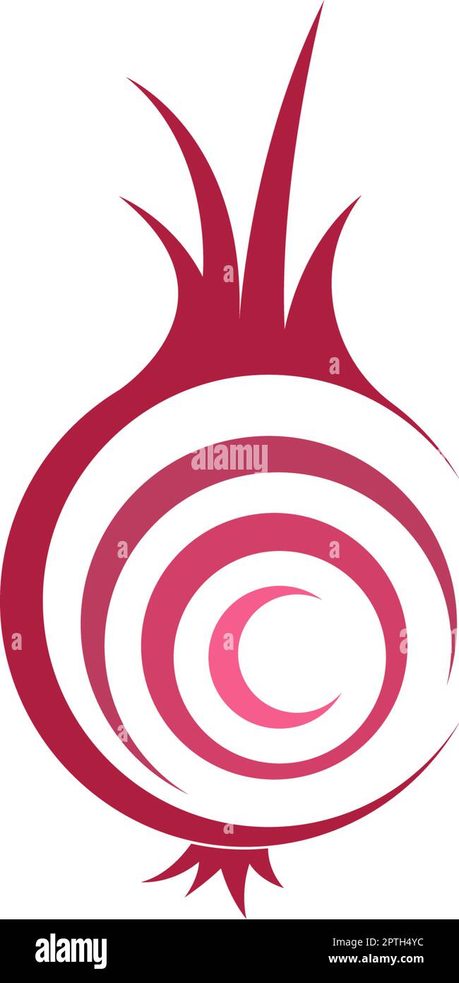 Onion logo icon design illustration Stock Vector Image & Art - Alamy