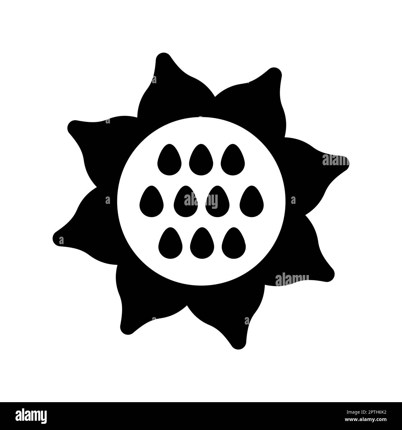 Sunflower isolated vector glyph icon. Vegetable sign. Graph symbol for ...