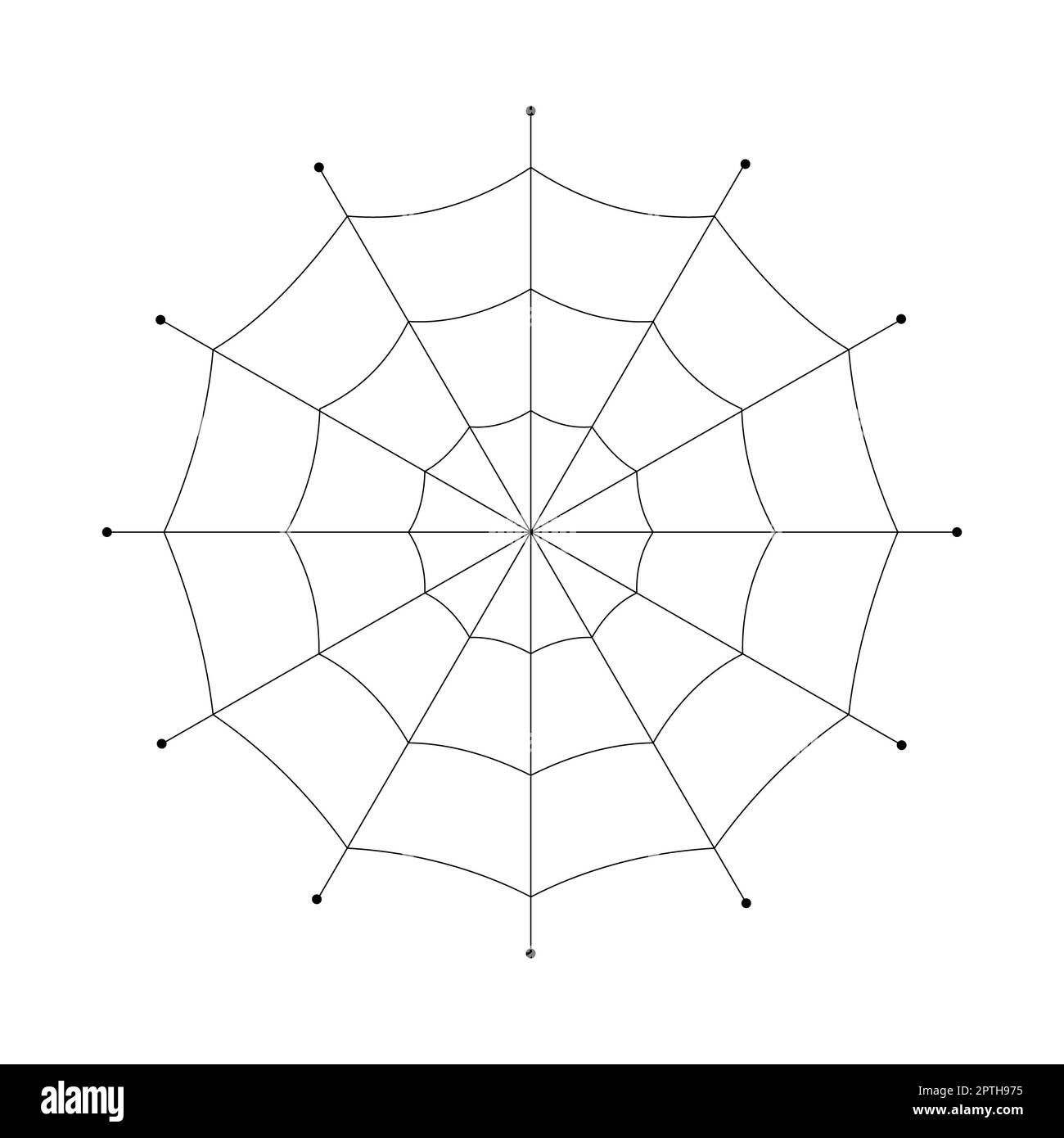 Spider web isolated on white background. Line art. Vector illustration ...