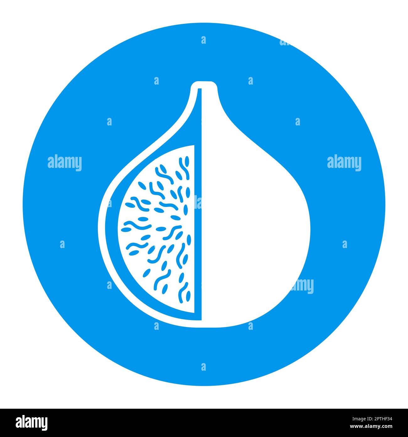 Fig tropical fruit vector glyph icon. Graph symbol for food and drinks ...