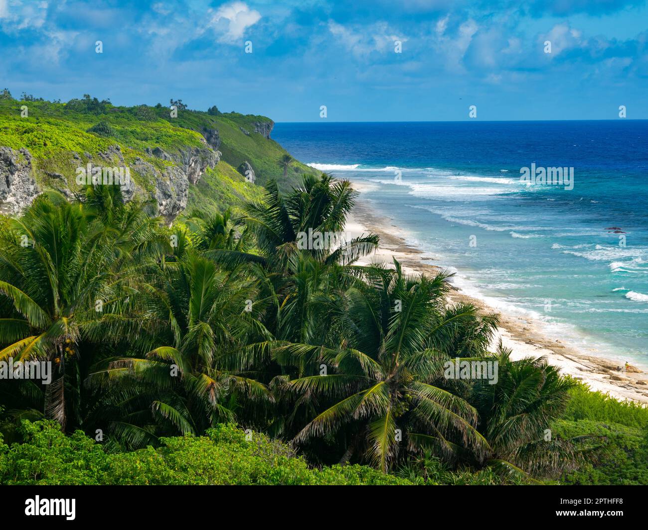 Henderson Island, an uplifted coral island found in the Pitcairn group ...