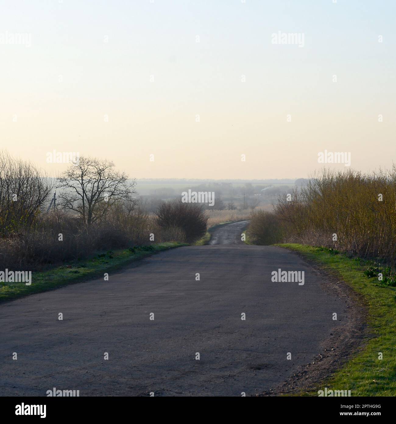 Dawn in the village. Asphalt road, leaving far into the distance among ...