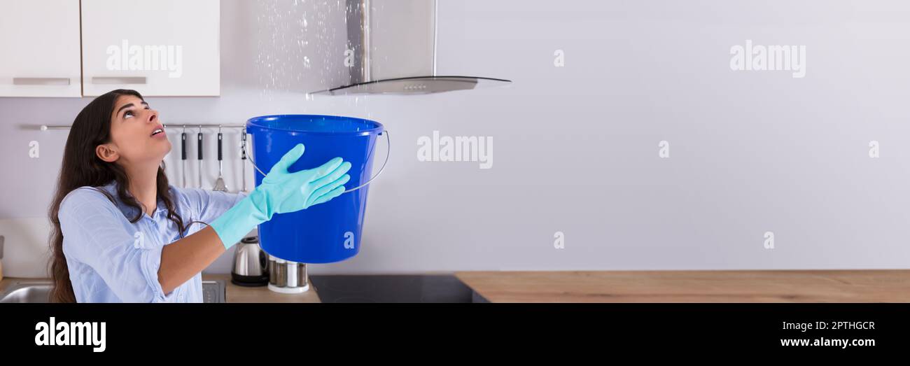 Ceiling Water Leak. Woman Holding Home Damage Stock Photo - Alamy