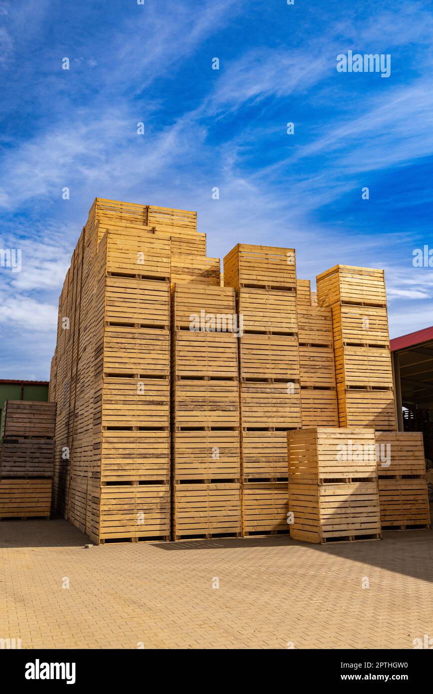 Dry cool storage. Stacked wooden crates with potatoes Stock Photo - Alamy
