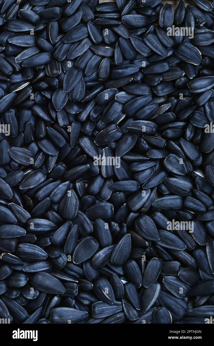 A pattern of many unprocessed fried sunflower seeds in a black shell ...