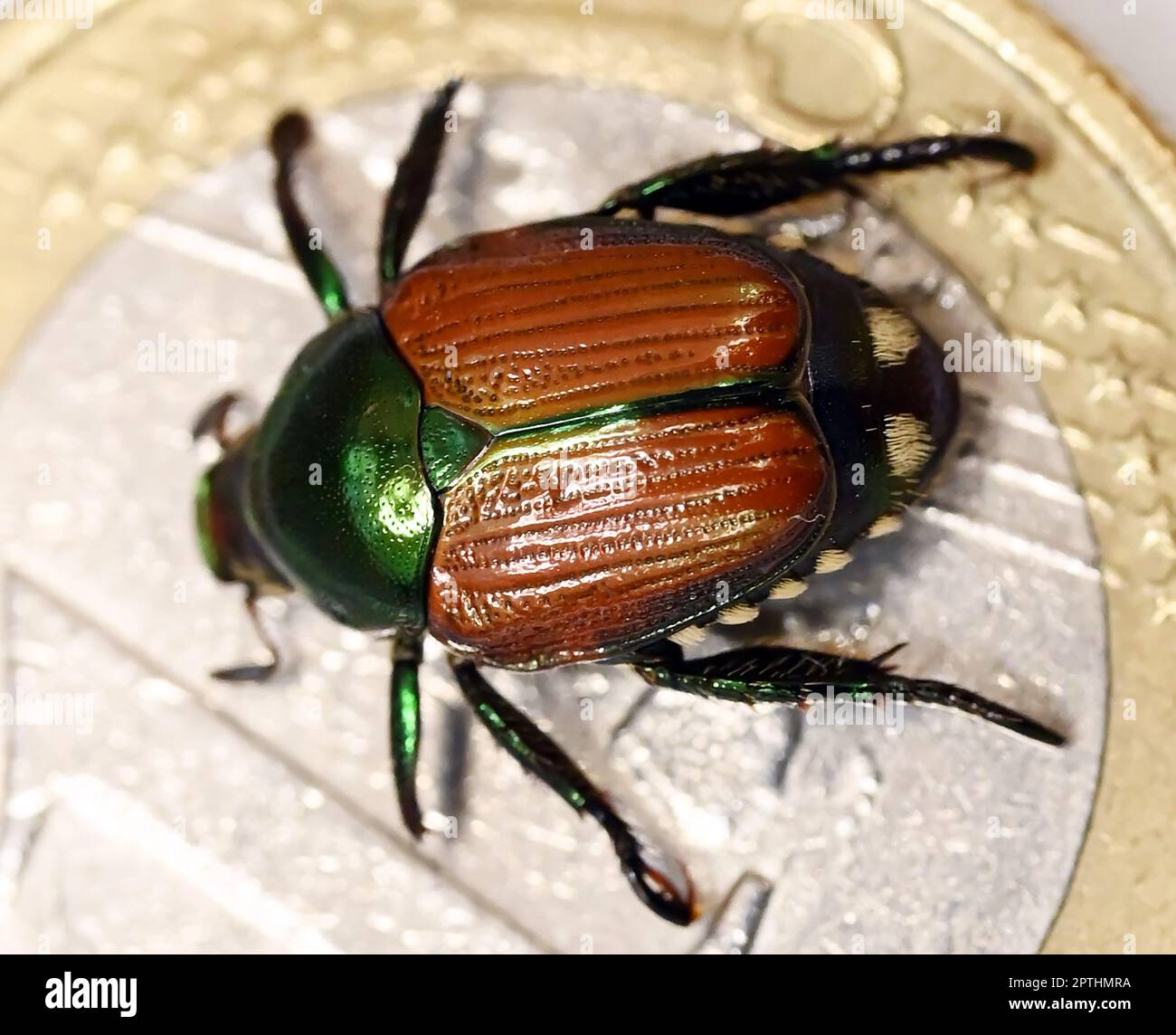 Karlsruhe, Germany. 21st Apr, 2023. At the Agricultural Technology ...