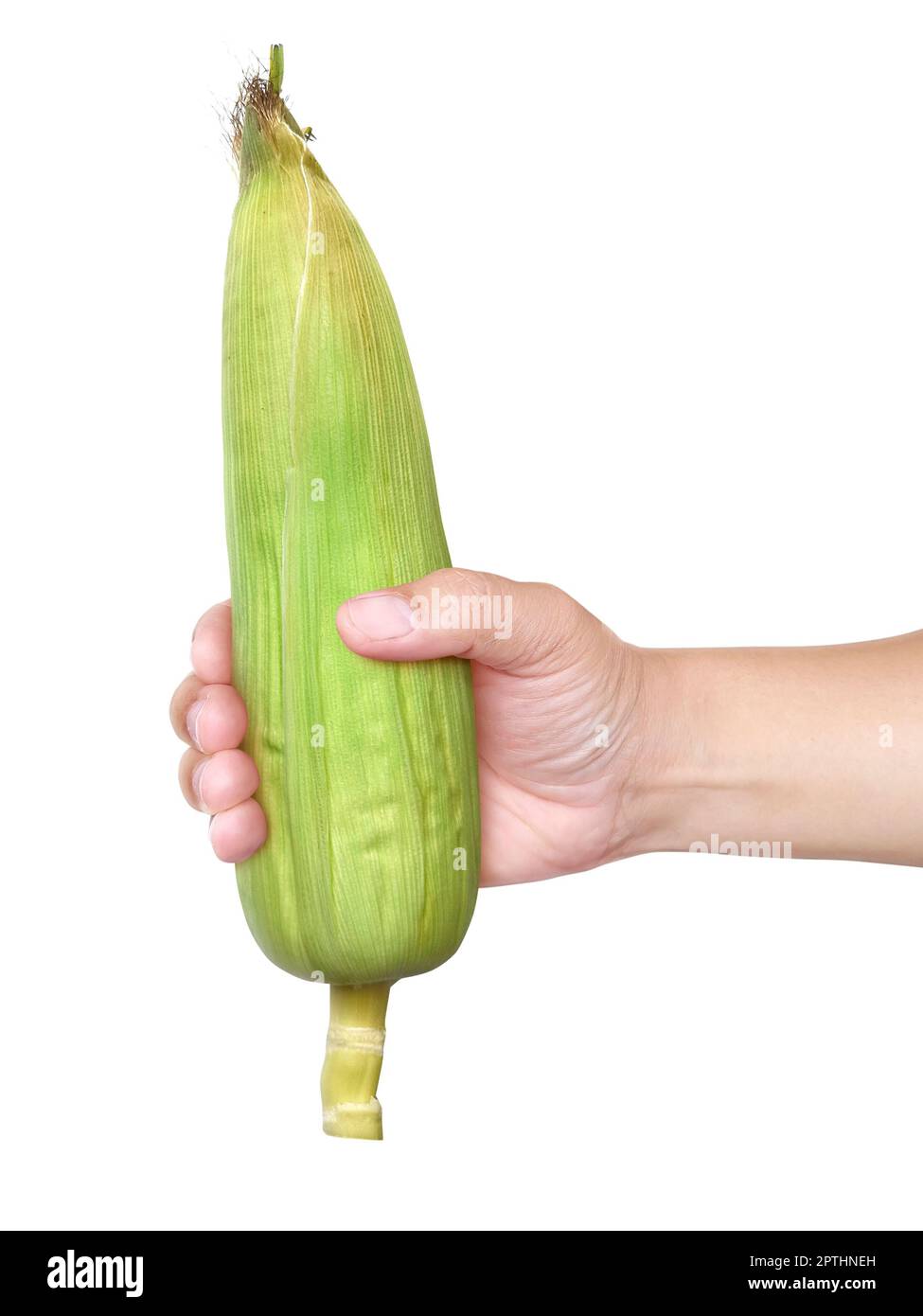Maize hand Cut Out Stock Images & Pictures - Alamy