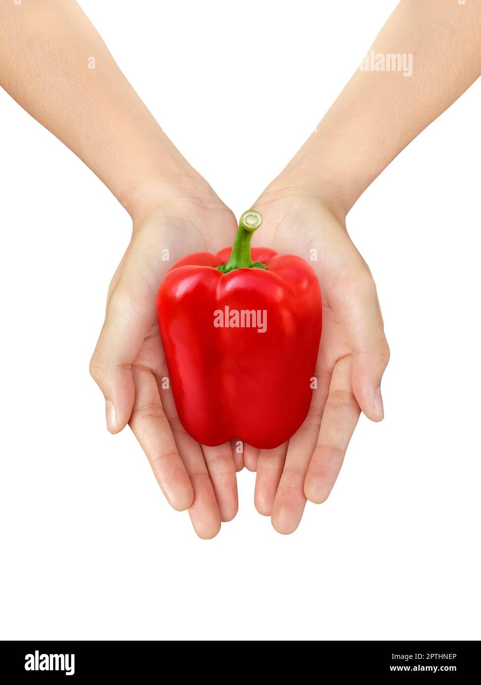 Beautiful woman hand holding a Red bell pepper on a white isolated ...