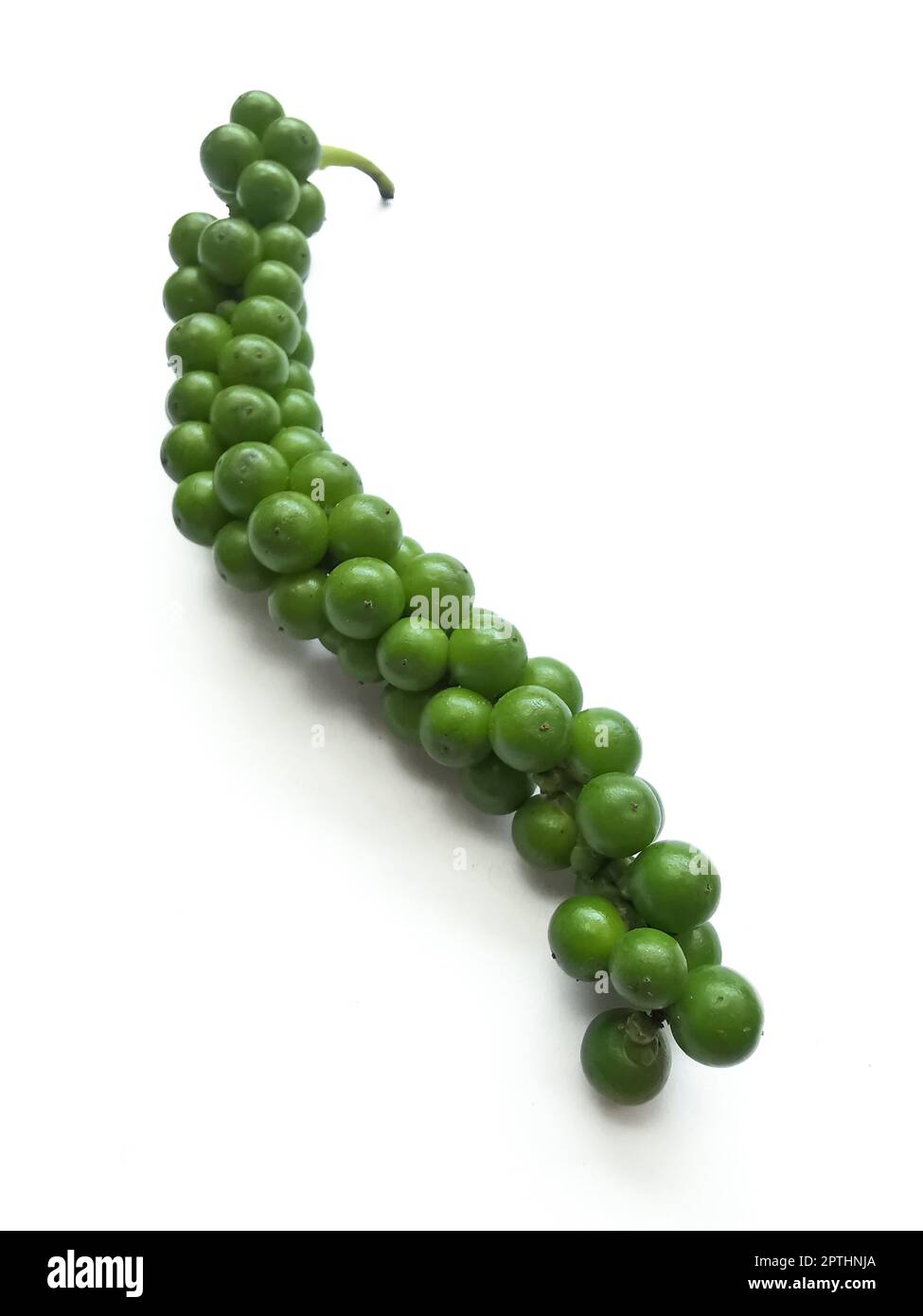 fresh green peppercorns with isolated on a white background Stock Photo ...