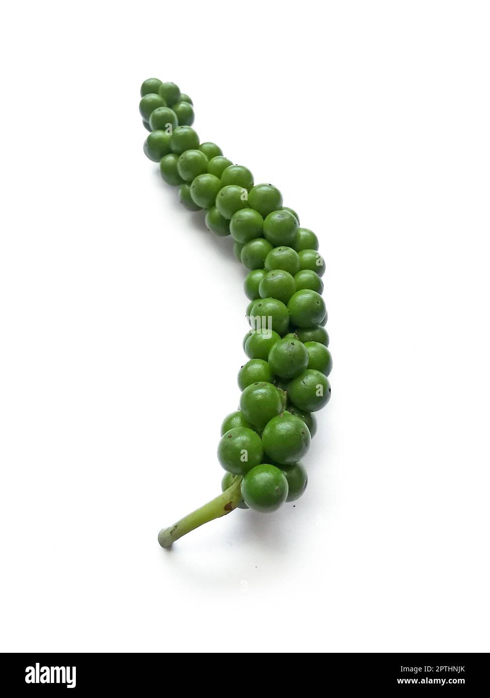 fresh green peppercorns with isolated on a white background Stock Photo ...