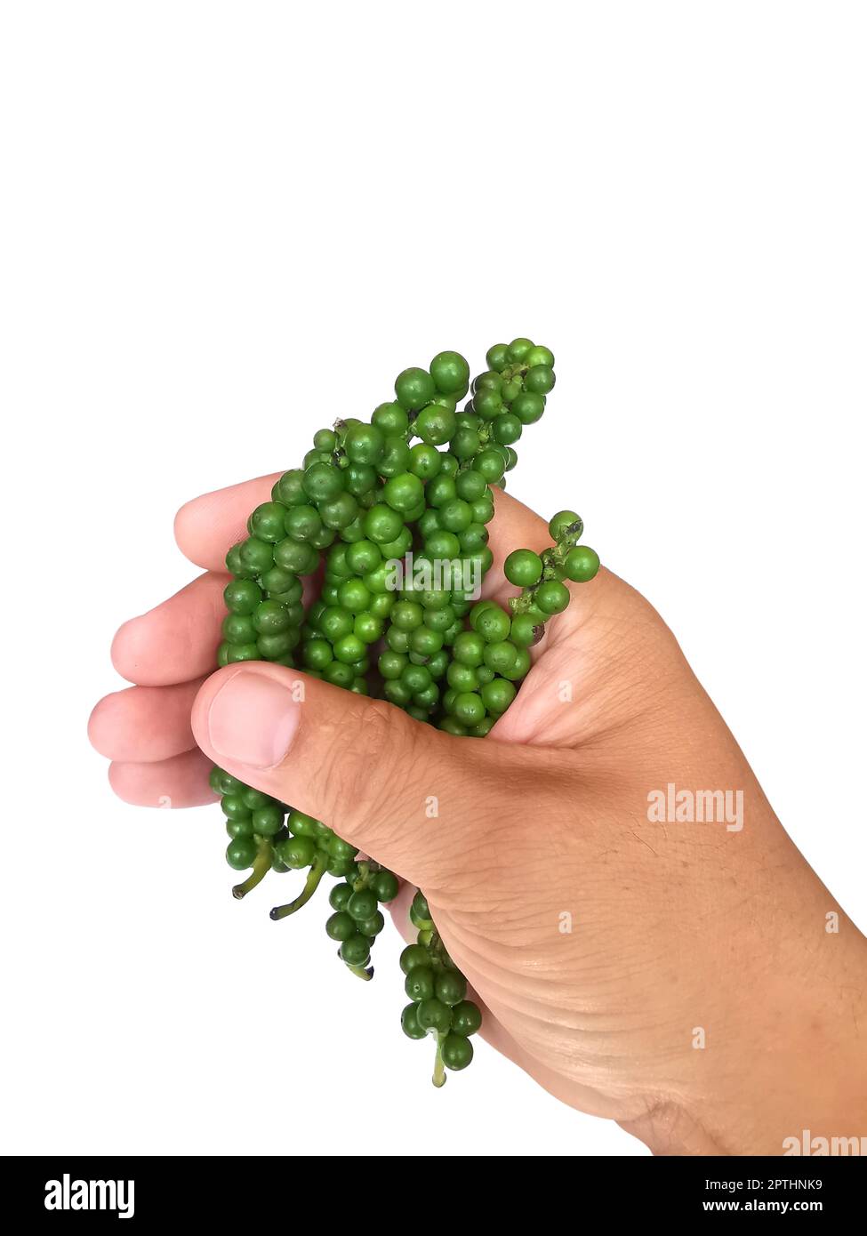 hand holding fresh pepper isolated on white background Stock Photo - Alamy