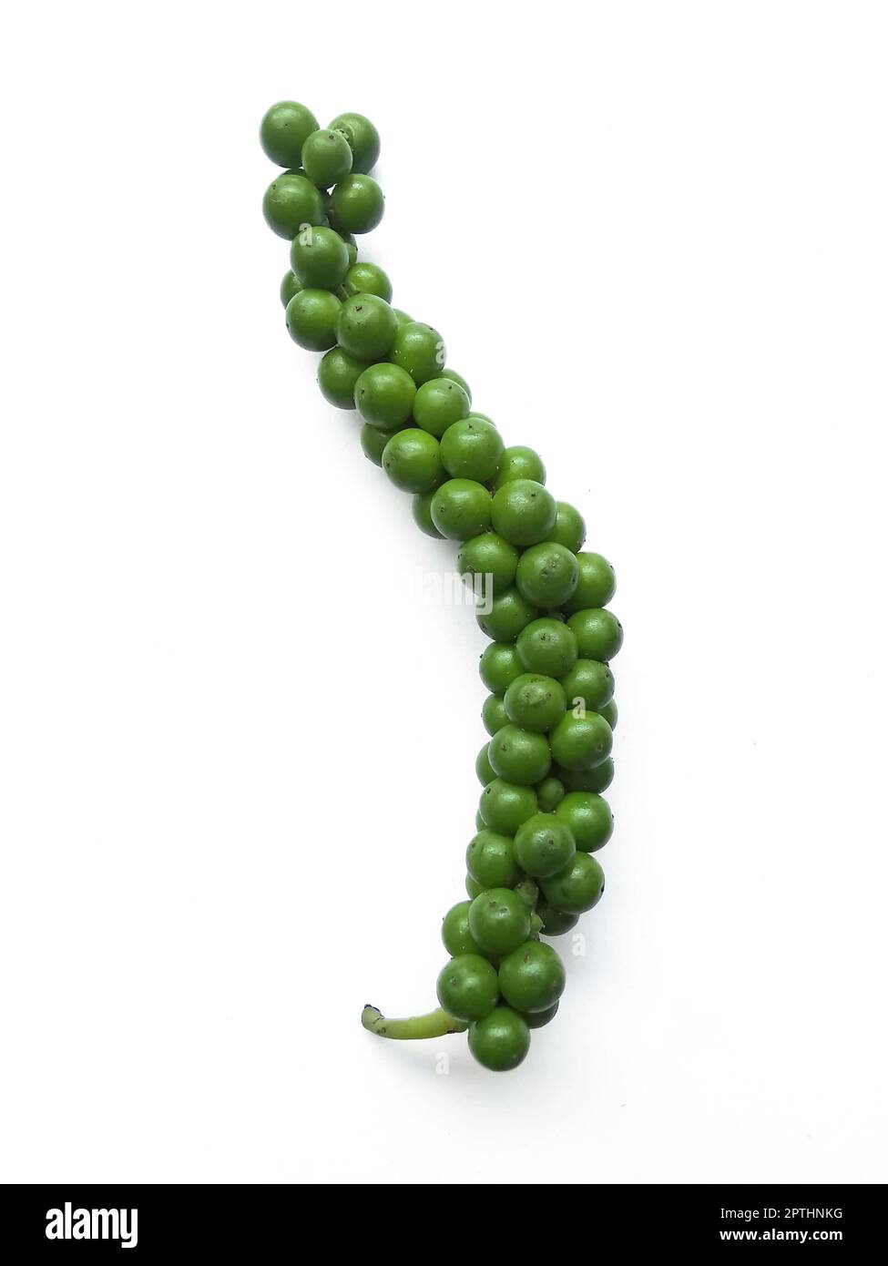 fresh green peppercorns with isolated on a white background Stock Photo ...