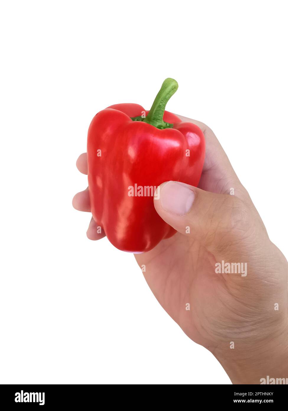 hand holding red Bell Pepper isolated on white background Stock Photo ...