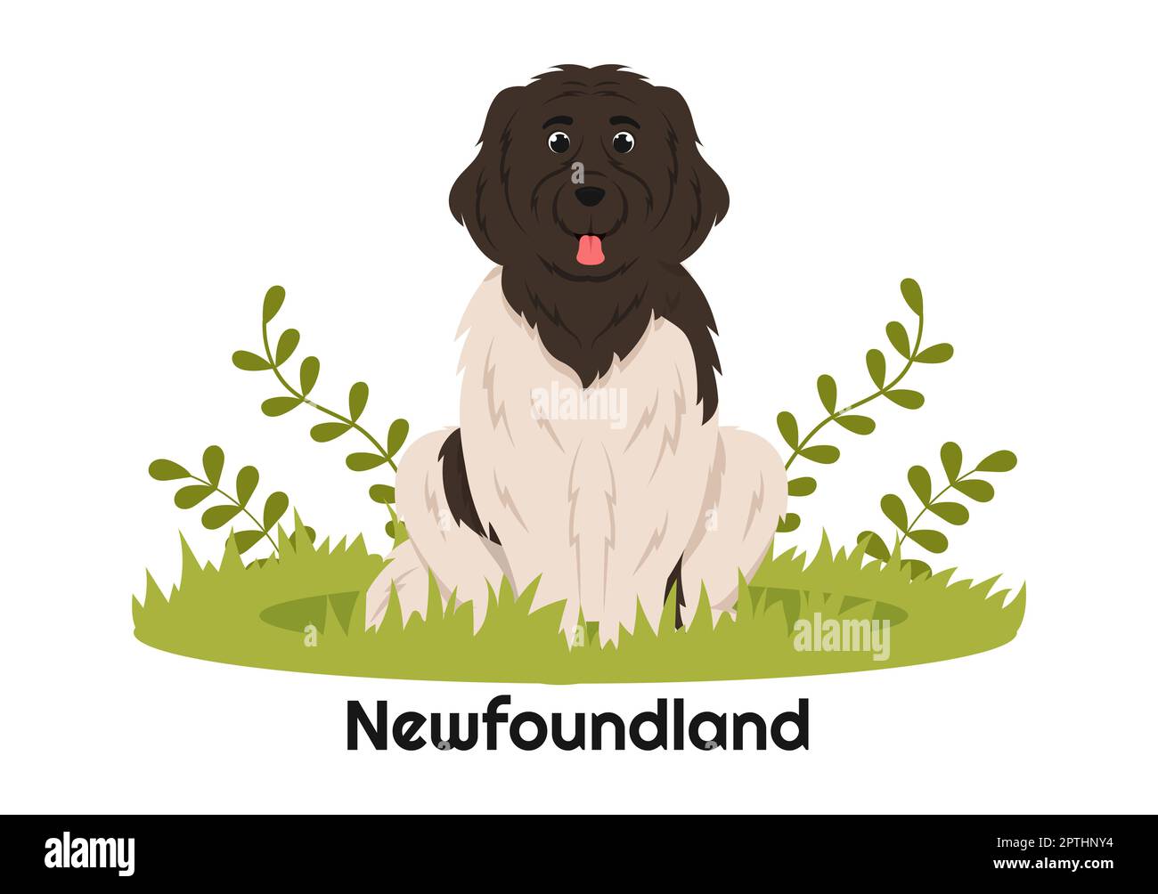 Newfoundland Dog Animals with Black, Brown or Landseer Color in Flat ...