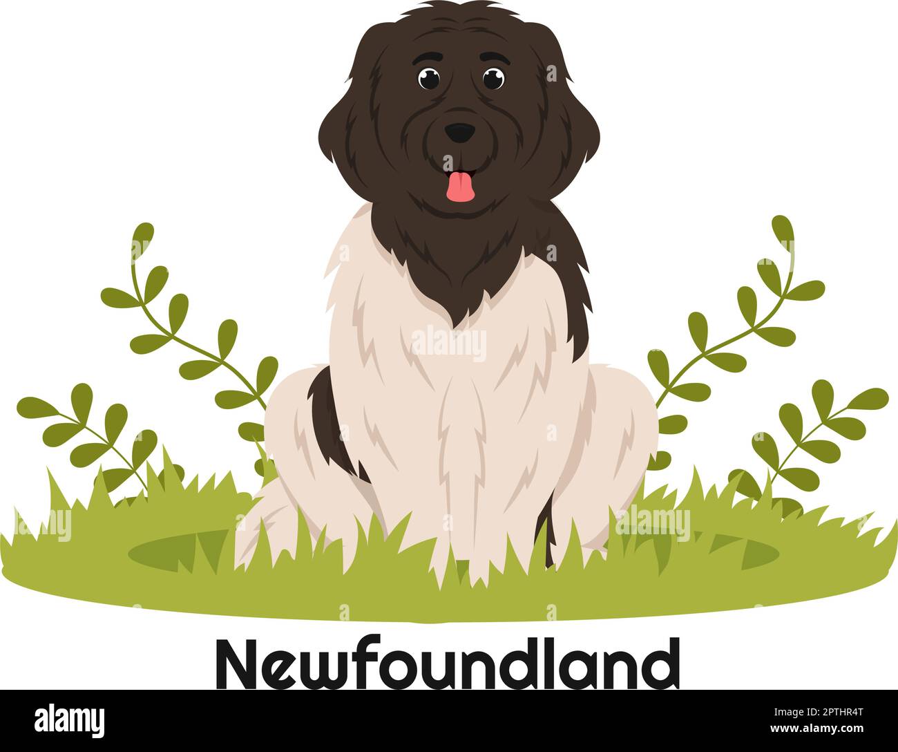 Newfoundland Dog Animals with Black, Brown or Landseer Color in Flat ...