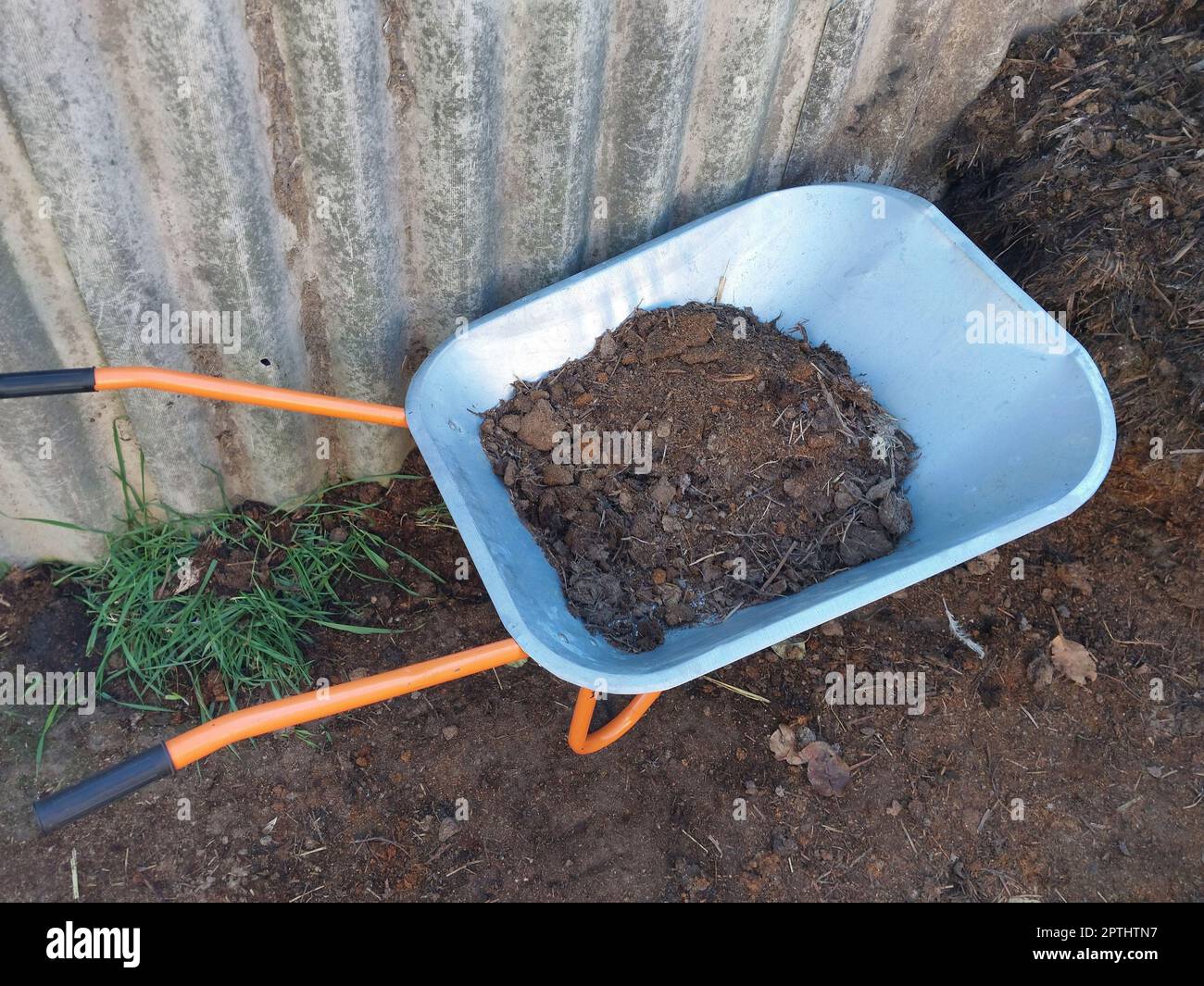 Pig manure collected for the garden fertilization Stock Photo - Alamy