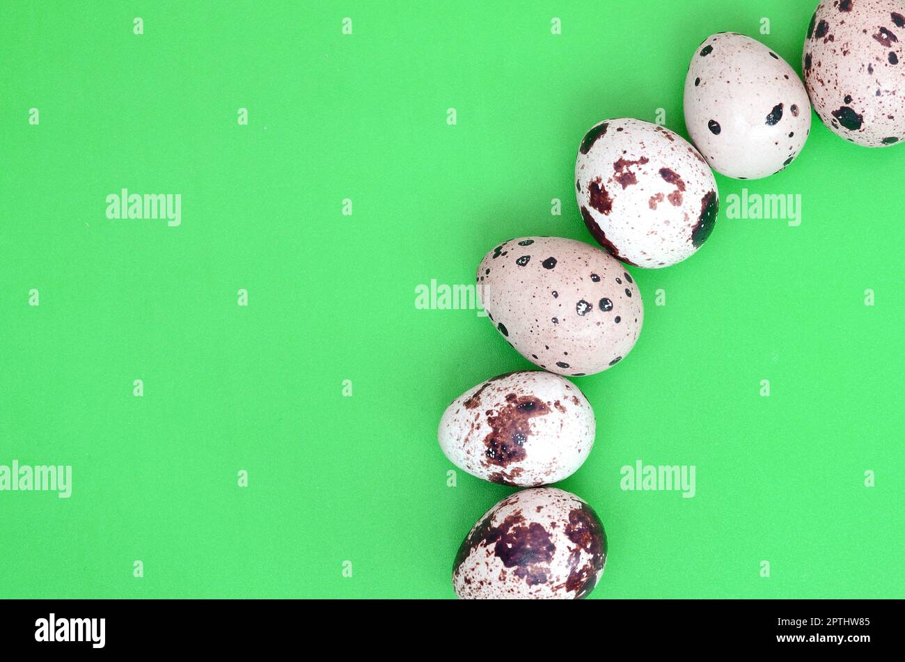 Quail eggs on a light green surface, top view, empty place for text ...
