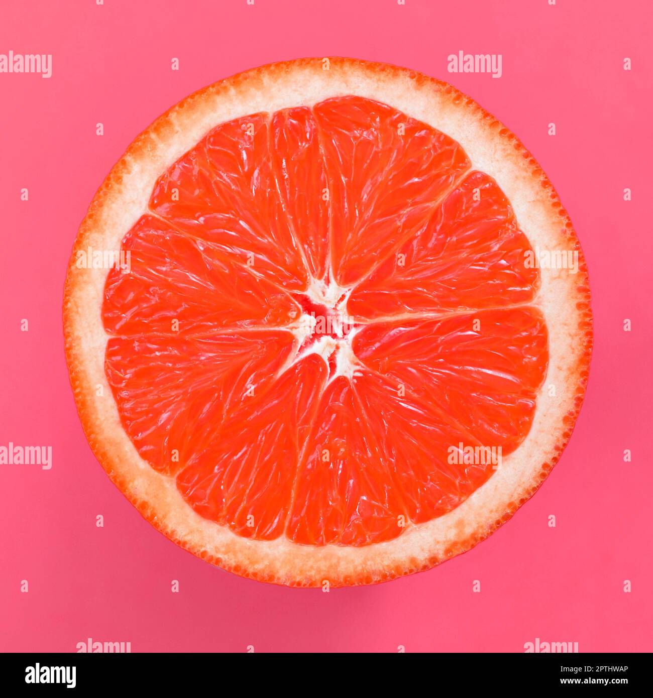 Top view of a one grapefruit slice on bright background in light pink color. A saturated citrus ...