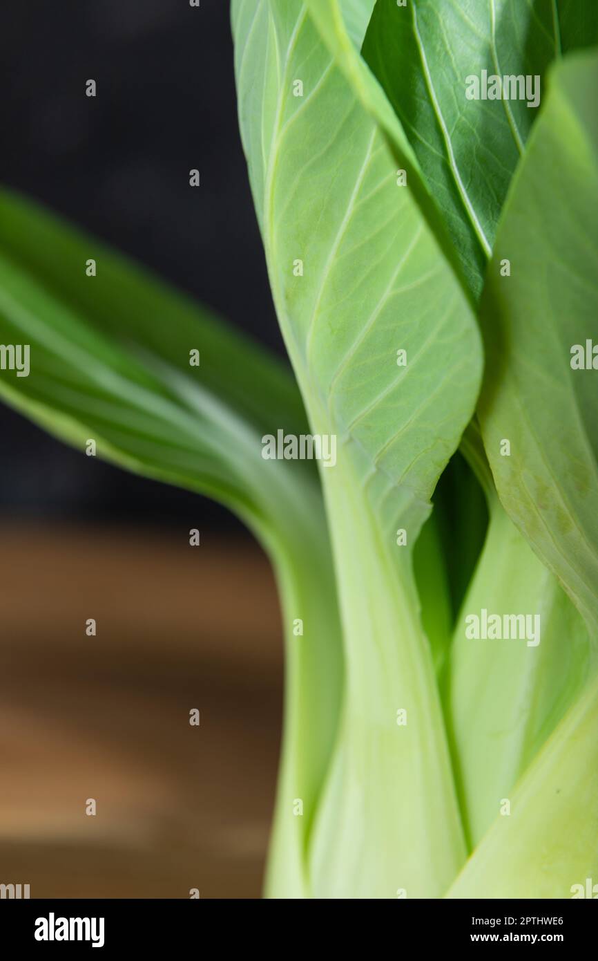 Fresh green bok choy or pac choi chinese cabbage. Side view, close up ...