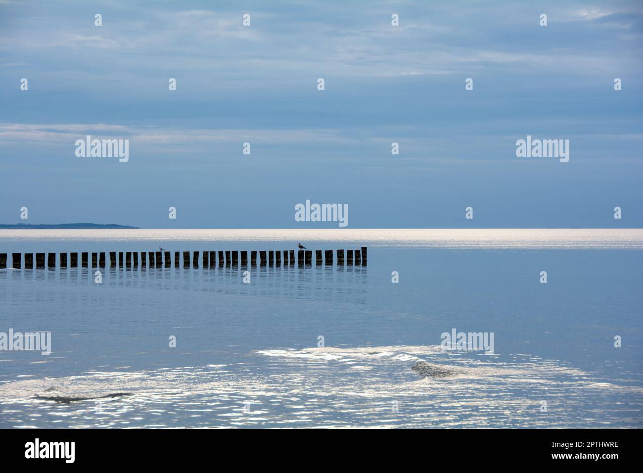 Wooden groynes in the still sea, on the Baltic Sea coast with blue sky ...
