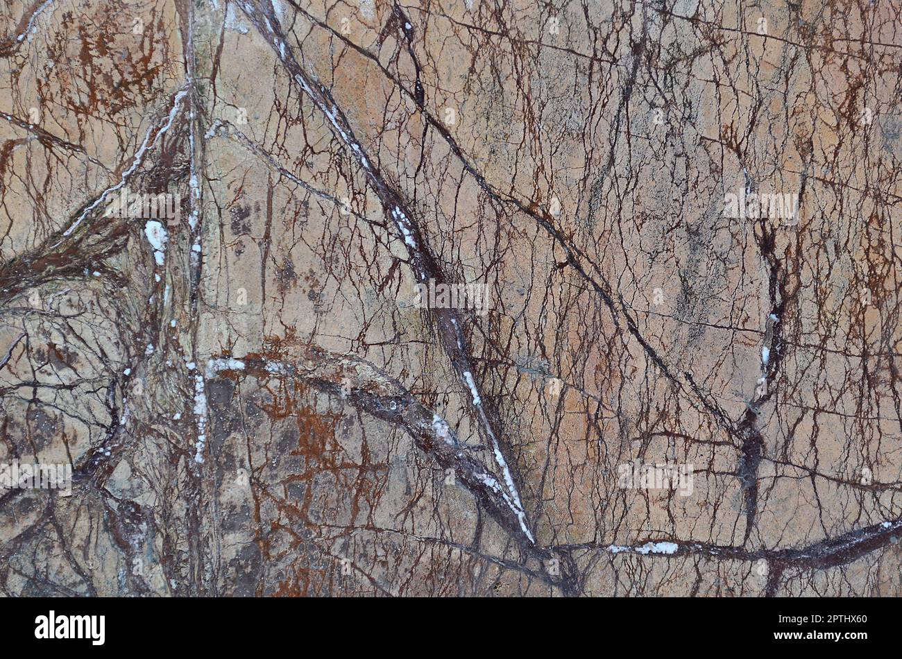 The texture of a hard and smooth marble surface with random points and ...