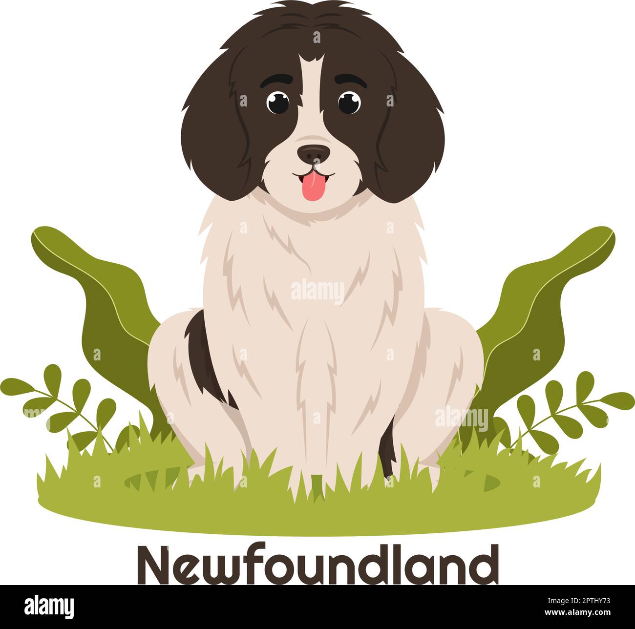 Newfoundland Dog Animals with Black, Brown or Landseer Color in Flat ...