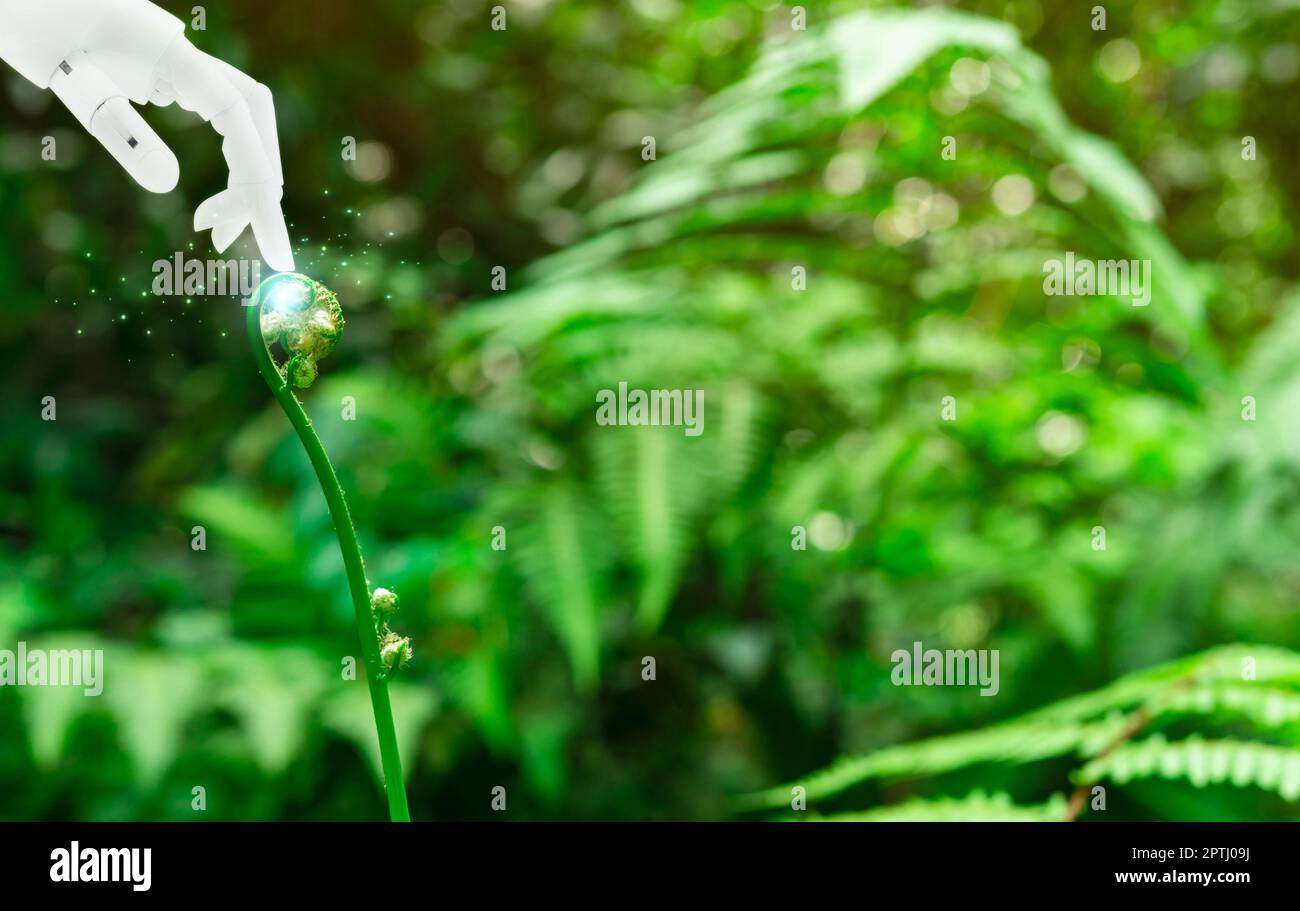 Green robots for sustainability concept. Robot hand touch green plant ...