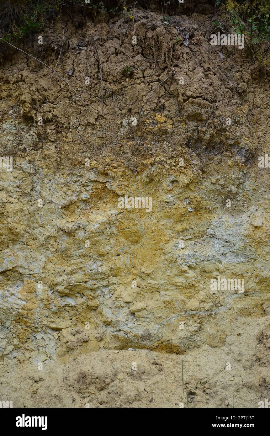 Texture of a wall of solid yellow and brown sand in a sandy quarry ...