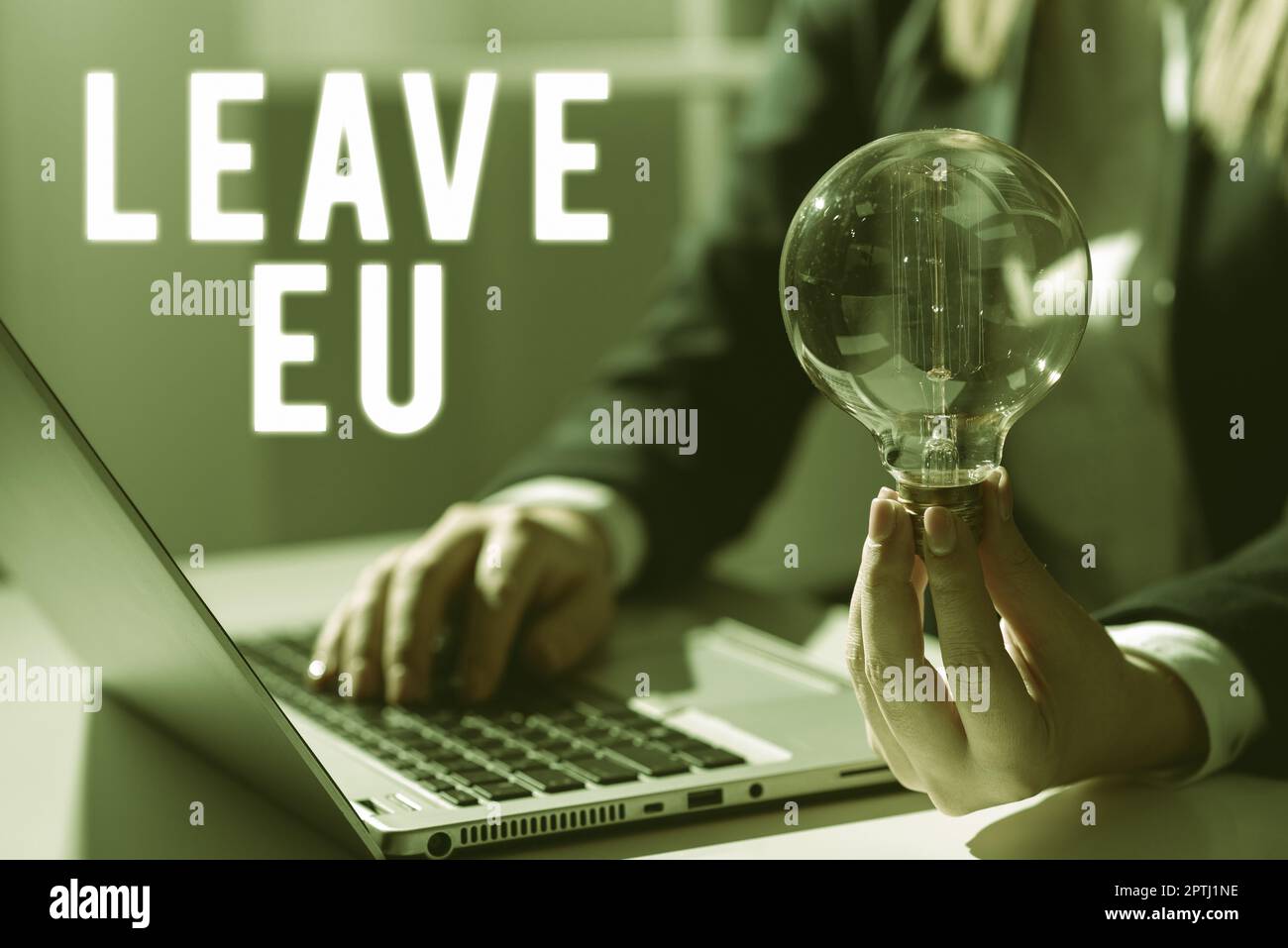 Text sign showing Leave Eu, Business overview An act of a person to ...