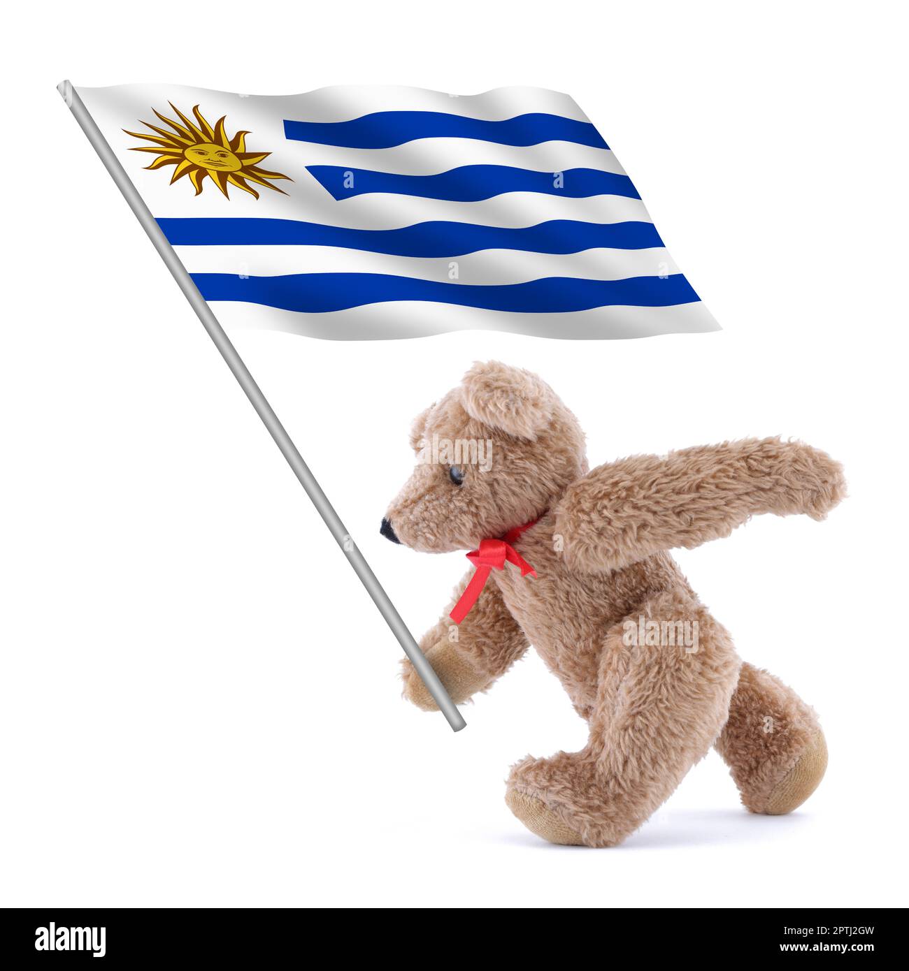 A Uruguay flag being carried by a cute teddy bear Stock Photo - Alamy