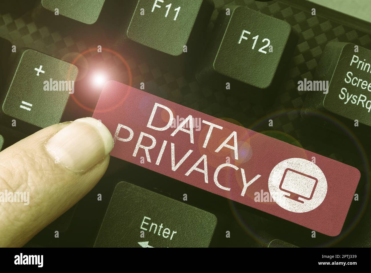 Sign displaying Data Privacy, Business concept internet security and ...