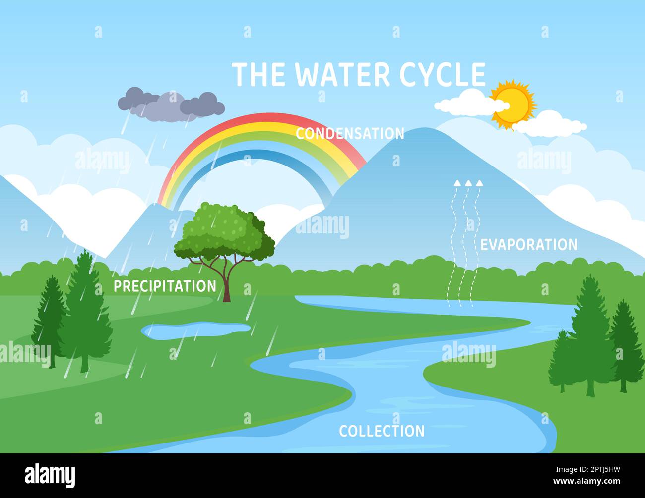 Water Cycle of Evaporation, Condensation, Precipitation to Collection ...
