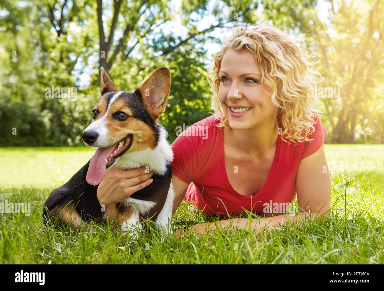 Making that canine connection. a young woman bonding with her dog in ...